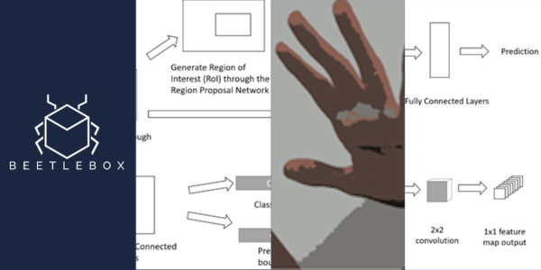 Sign Language Recognition Hand Object Detection Using R Cnn And Yolo Beetlebox